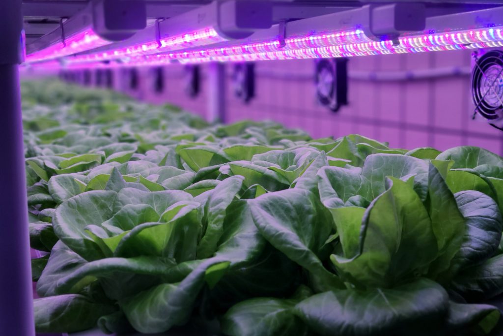Case Study: CubicFarm Systems - Binary & Co